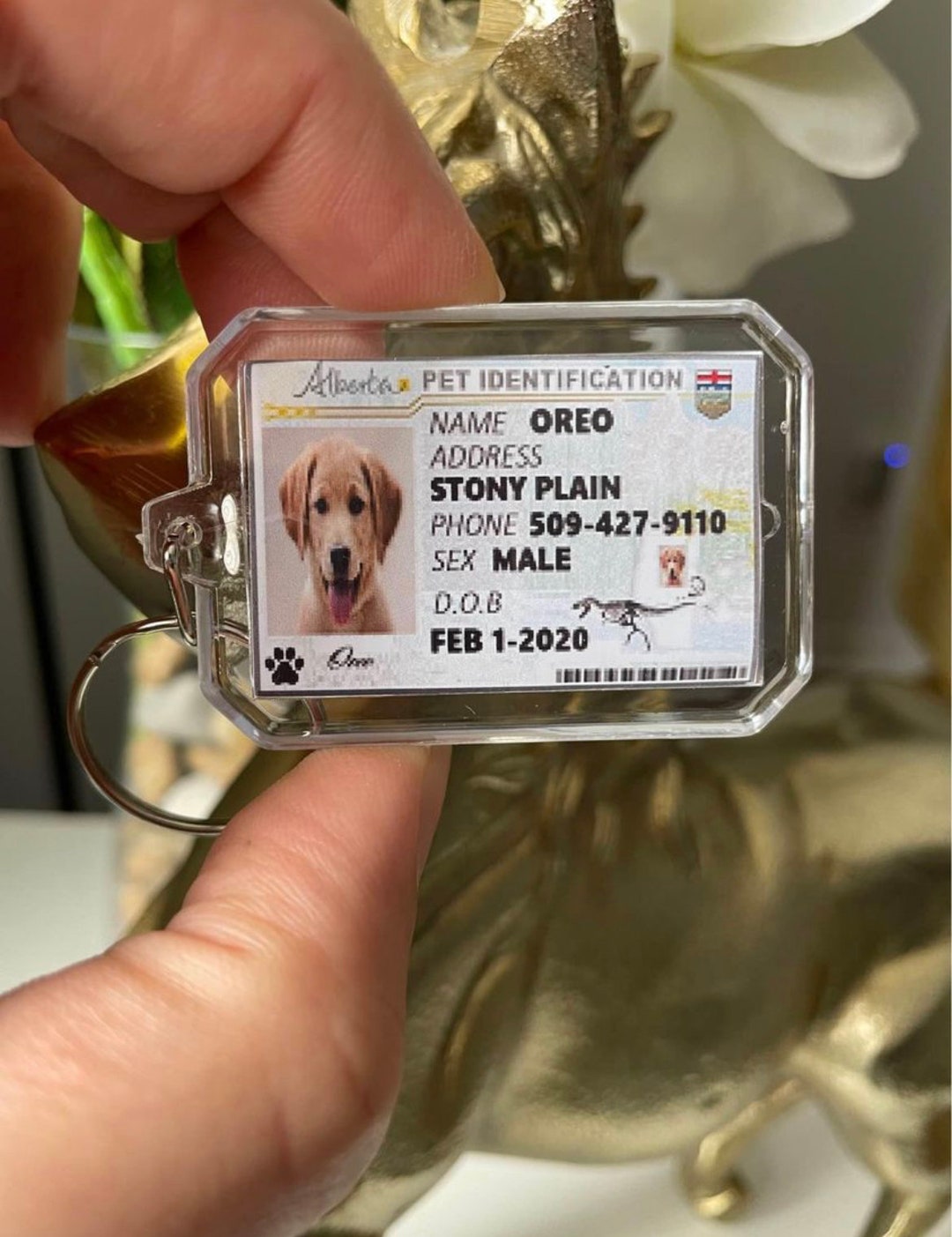 Alberta Drivers License Pet ID Tag Keychain Keyring - Etsy Canada