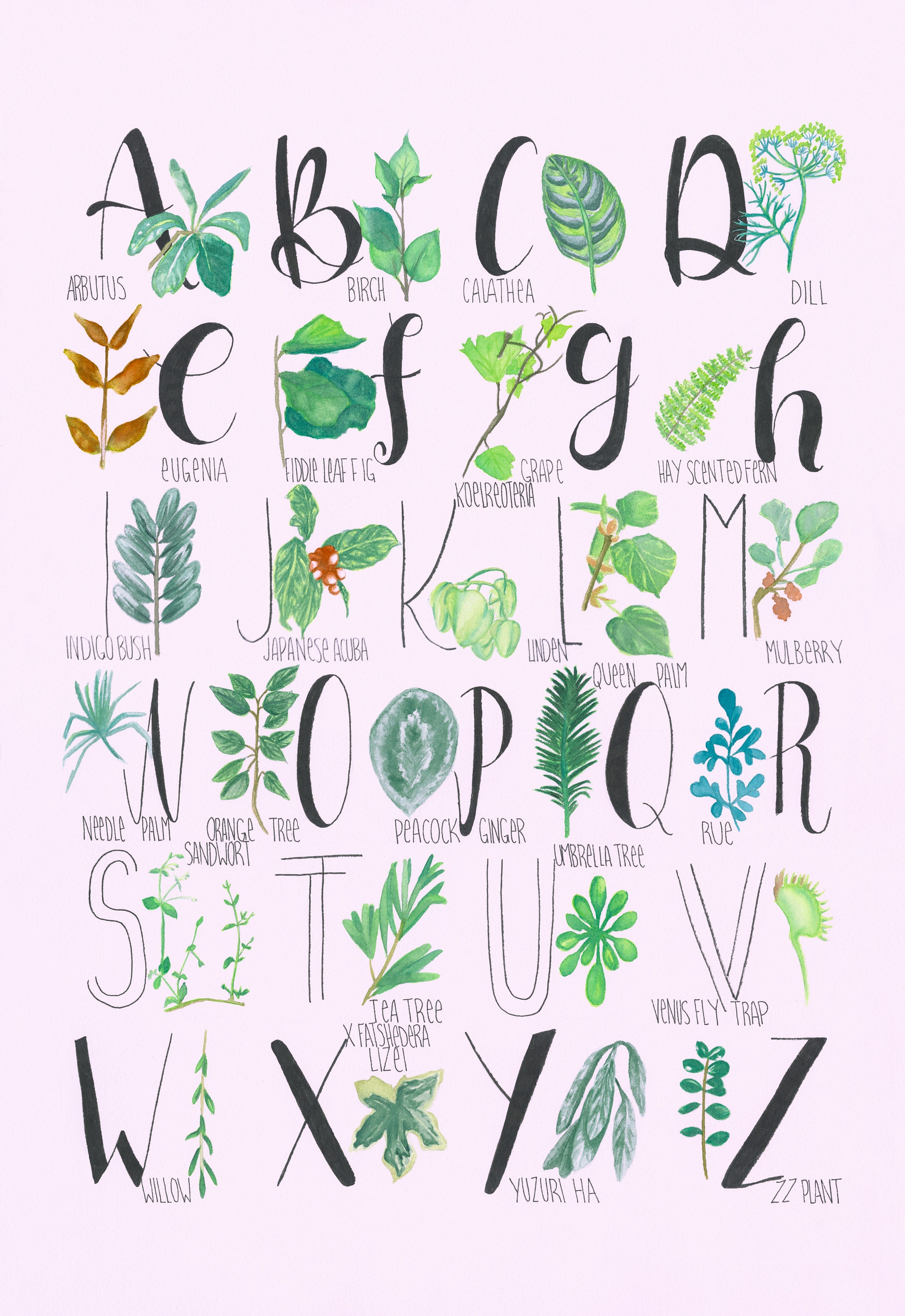 Houseplant Alphabet - Etsy