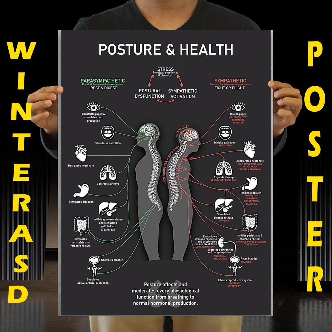 Chiropractic Poster Posture and Heath Parasympathetic Rest and Digest ...