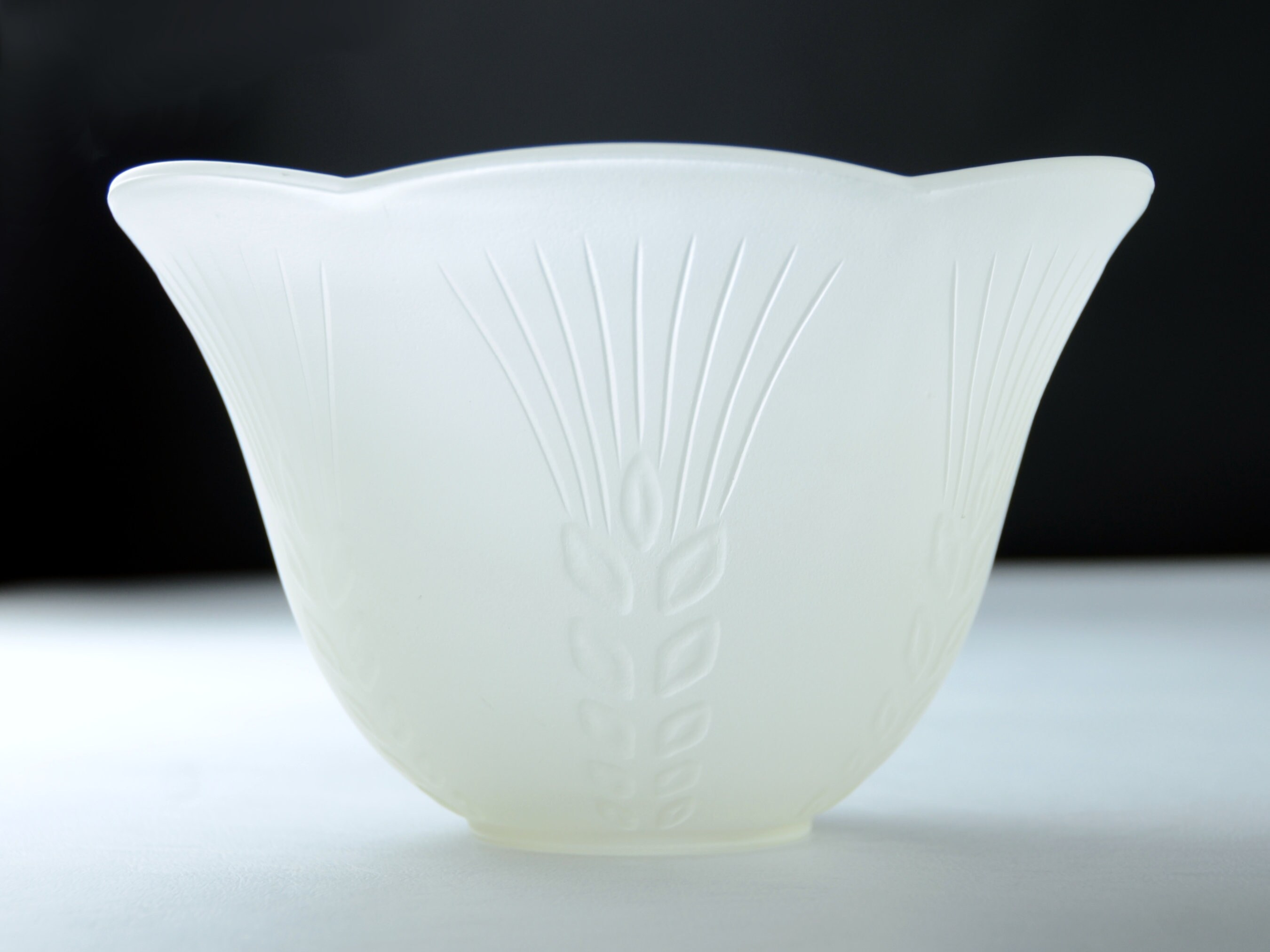 Neckless Glass Shade Replacement