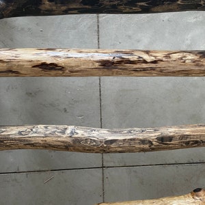 Hand Carved Maple Log Branch Railing Handrail Rustic Guard Stairway ...