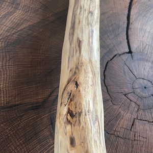 Hand Carved Maple Log Branch Railing Handrail Rustic Guard Stairway ...