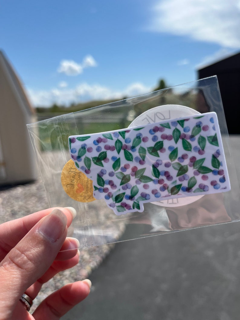 Huckleberry Sticker, Montana Huckleberries, Summer Sticker, Blueberry ...