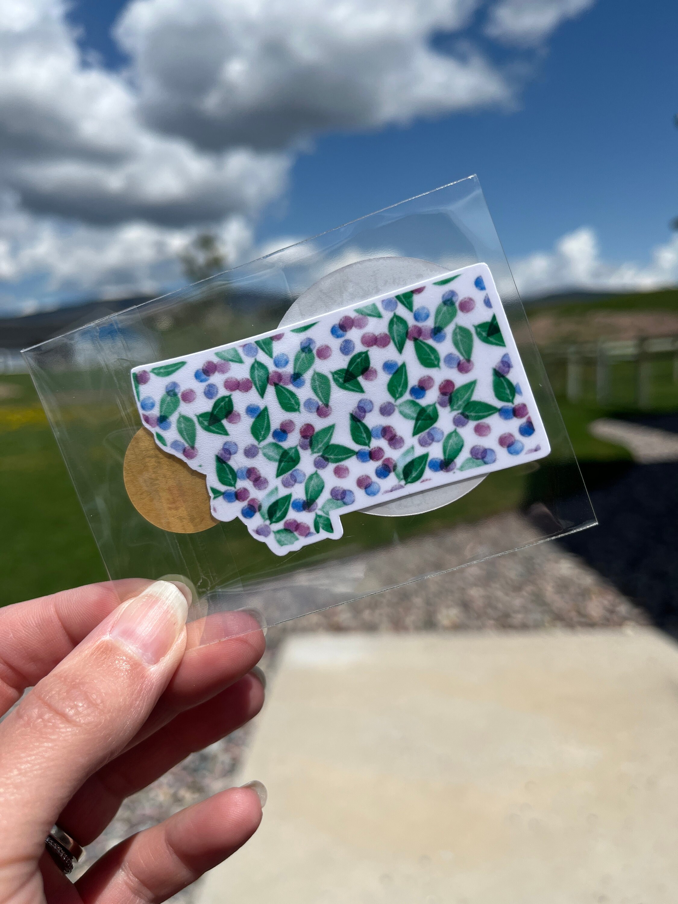 Huckleberry Sticker, Montana Huckleberries, Summer Sticker, Blueberry ...