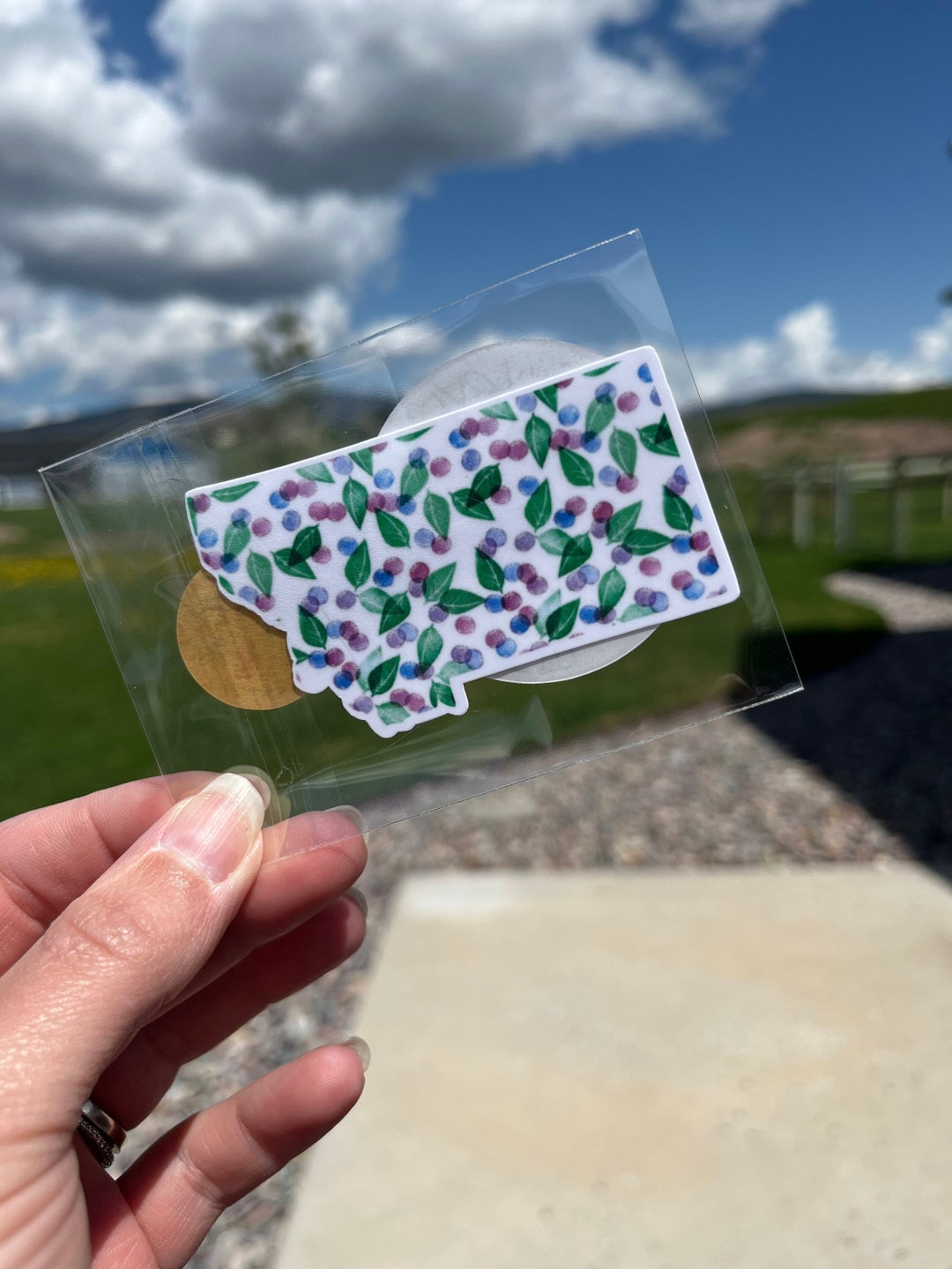Huckleberry Sticker, Montana Huckleberries, Summer Sticker, Blueberry ...