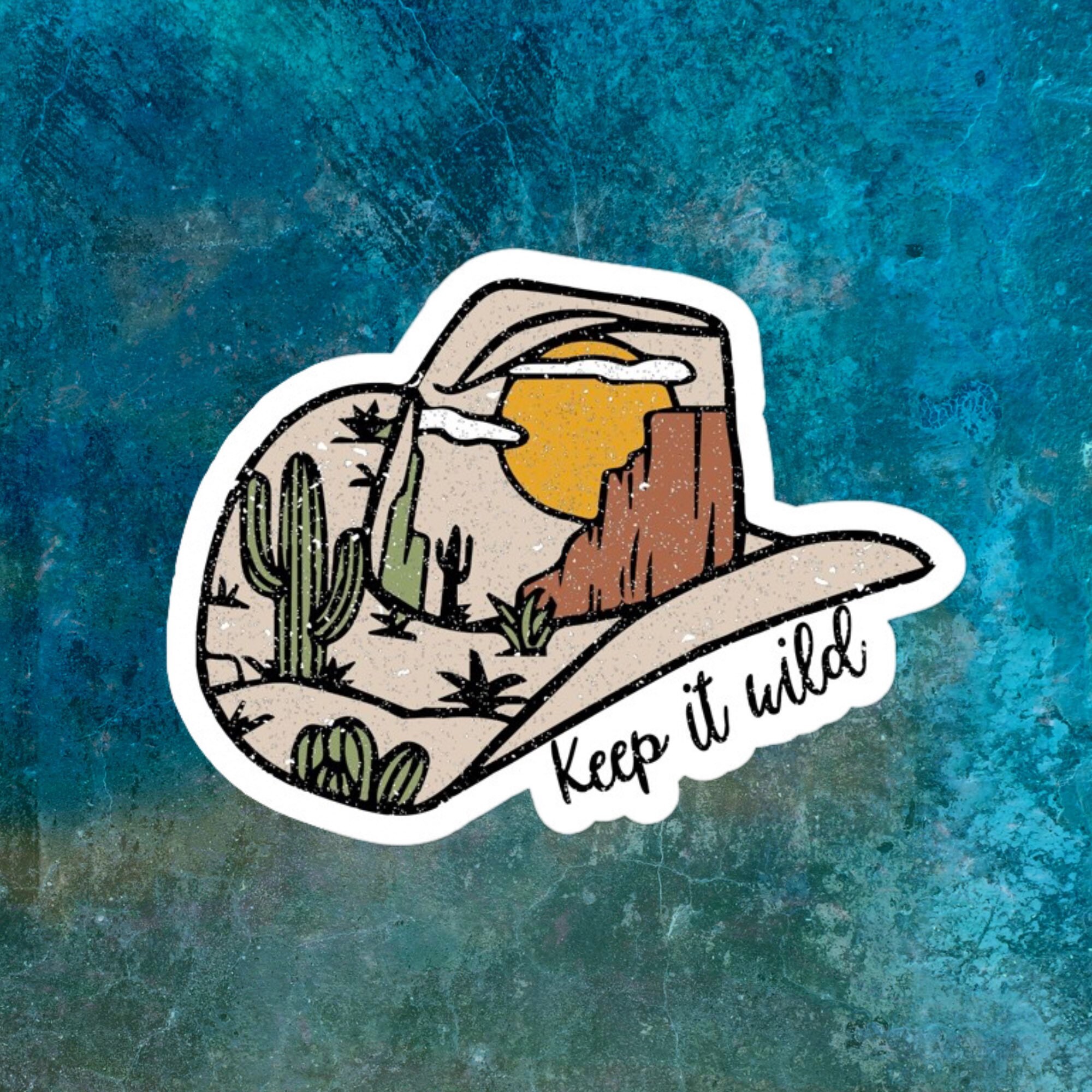 Cowgirl Waterproof Sticker Pack: Western Rodeo Art - Etsy