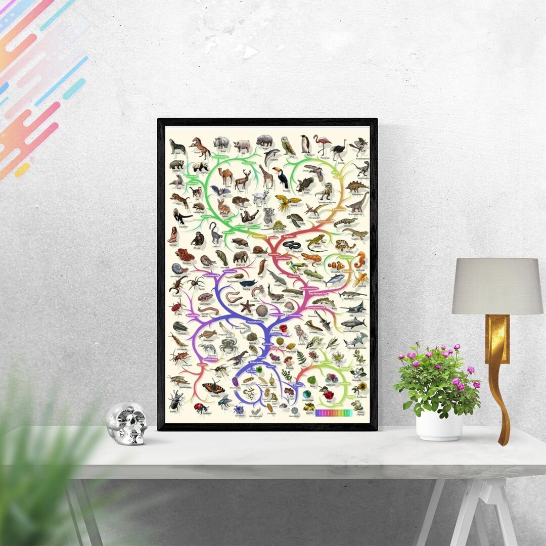 Animal and Plant Evolution - Tree of Life Poster - English Poster - Etsy