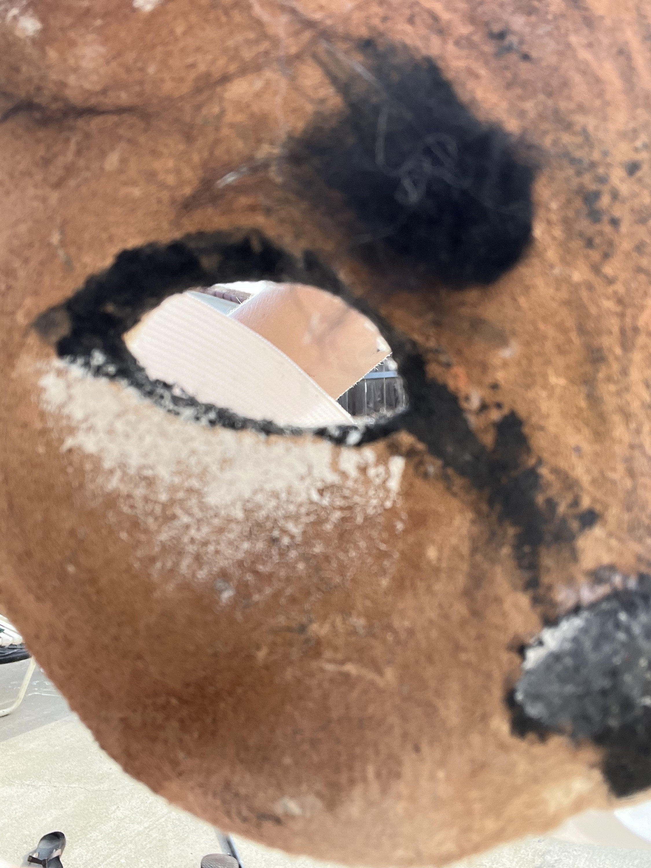 Caracal Therian Mask Quadrobist/therian - Etsy