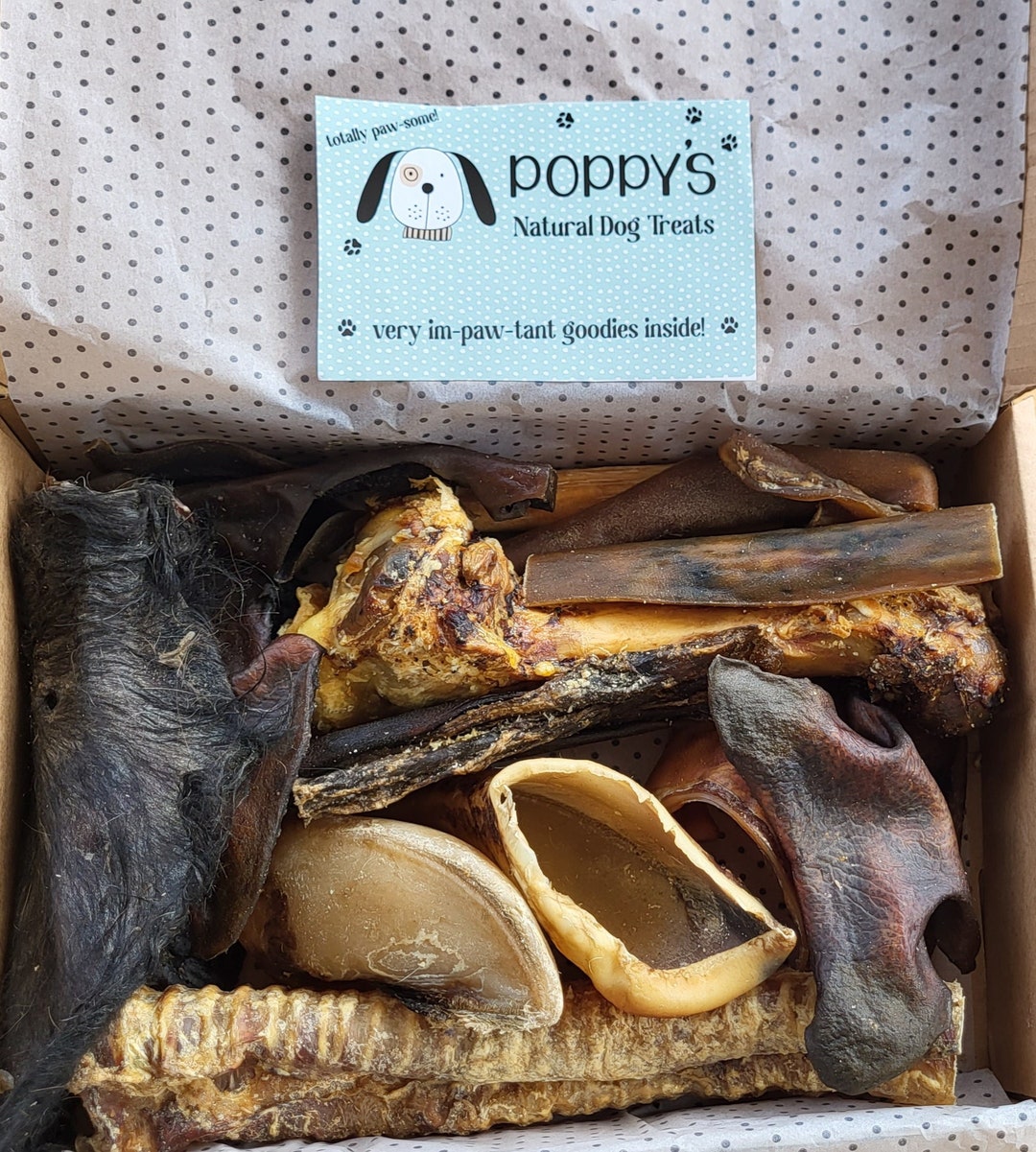 Big Chomp Box/long Lasting Chews/ Natural Treat Box/ Dog - Etsy