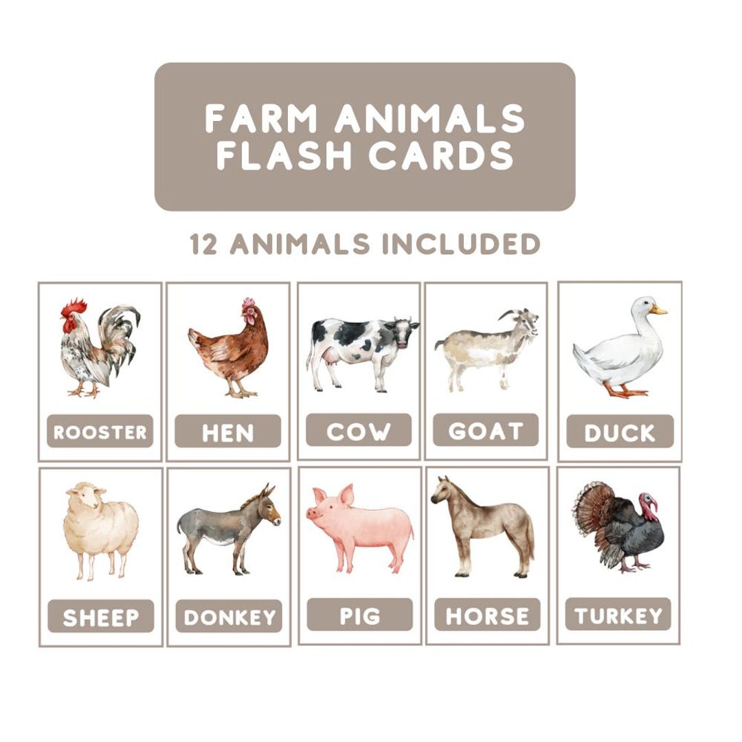 Set of 12 Farm Animal Flash Cards Animal Toddler ABC Cards Baby Flash ...
