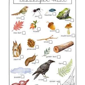 Forest Scavenger Hunt PDF Printable Digital File Autumn Woodland ...