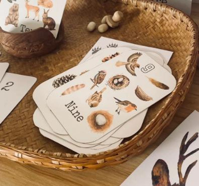 Woodland Number Flashcards: Nature-themed Counting Cards 1-10 (digital ...