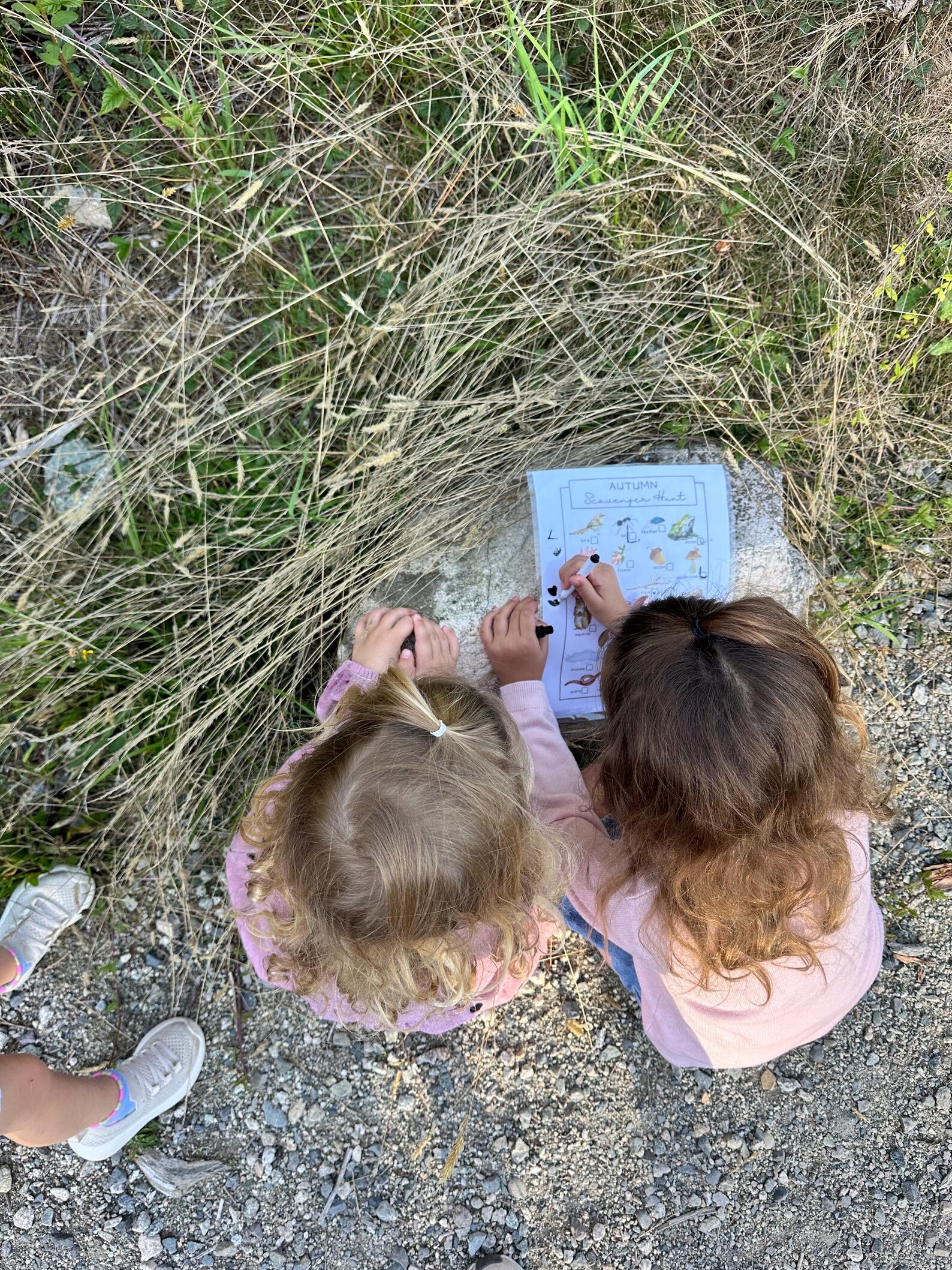 Forest Scavenger Hunt: Autumn Woodland Activity for Toddlers (PDF ...