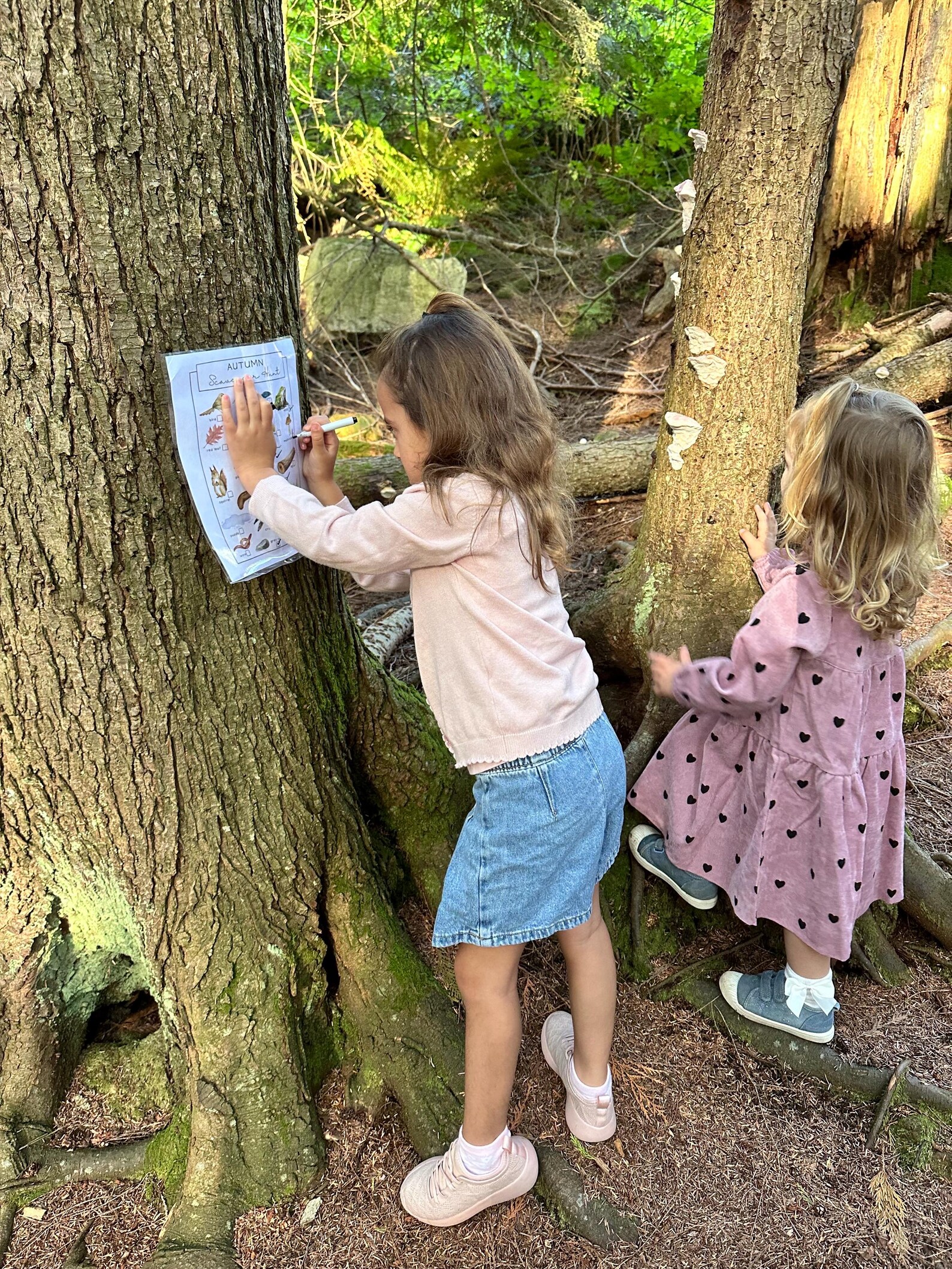Forest Scavenger Hunt: Autumn Woodland Activity for Toddlers (PDF ...