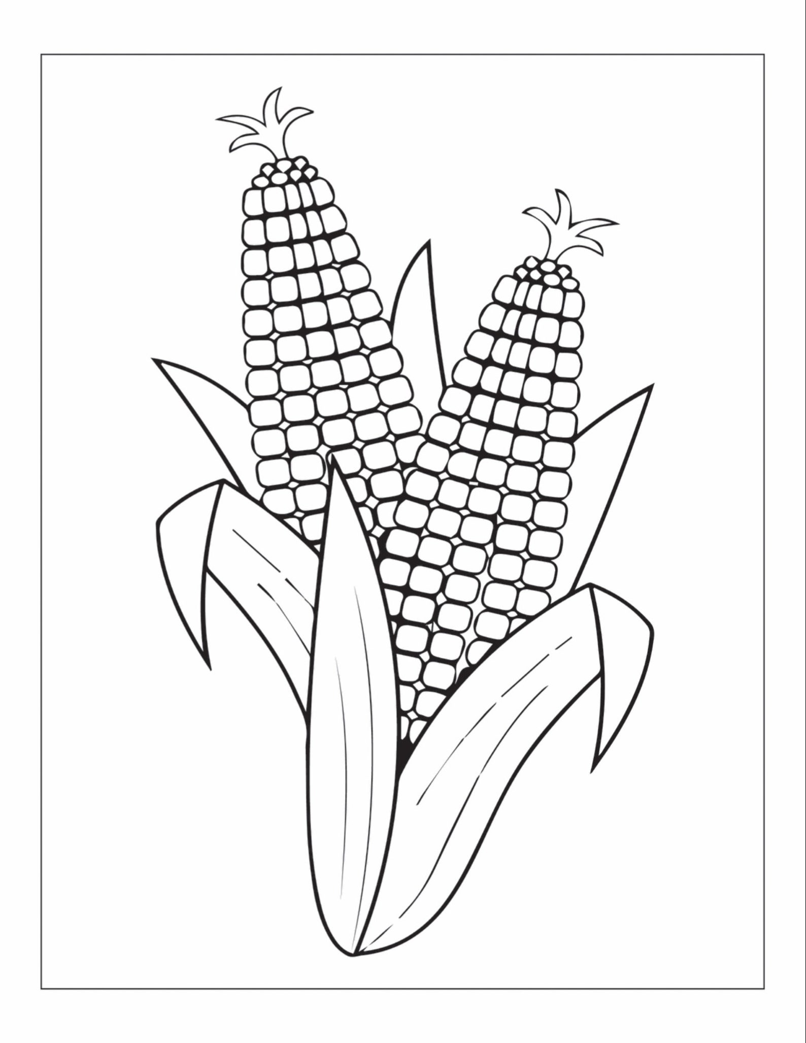 27 Pages of Different Fruits for Coloring Great Activity for - Etsy