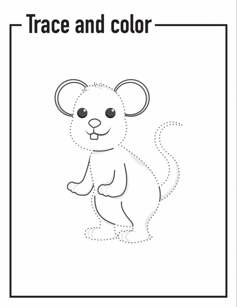 Trace and Color 36 Different Cute Animals! - Etsy