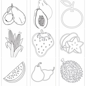 27 Pages of Different Fruits for Coloring Great Activity for - Etsy