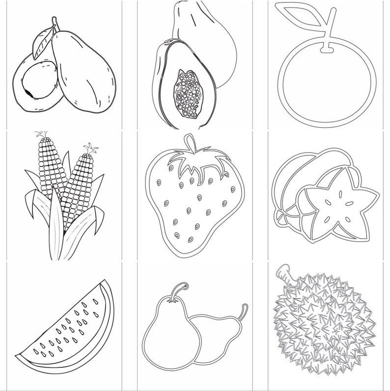 27 Pages of Different Fruits for Coloring Great Activity for - Etsy