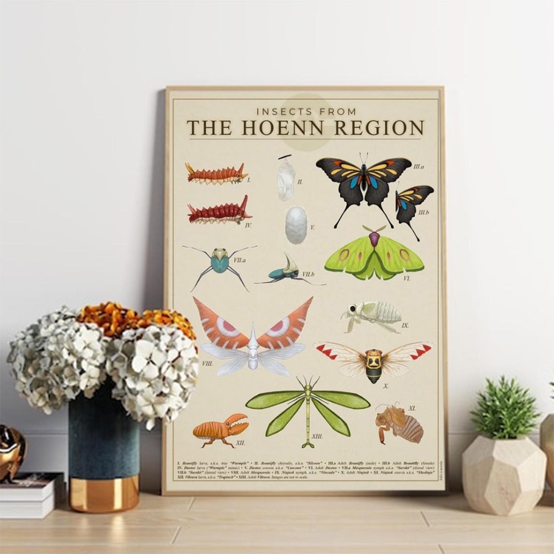 Insectes De Hoenn Poster - Etsy