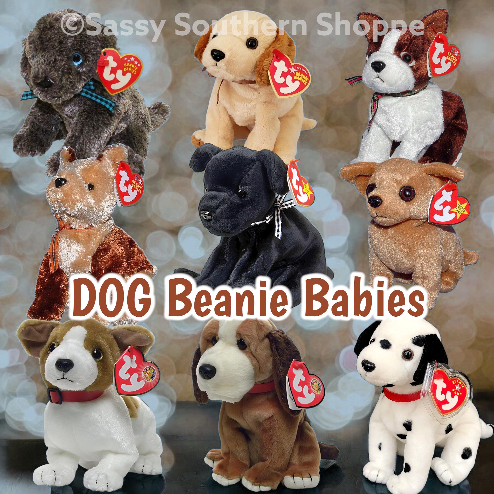Ty BEANIE BABIES Dogs Frisbee, Badges, Sport, Fidget, Luke, Tiny, Kippy ...