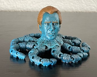 Nicolas Cage Octopus Fidget Toy/ Rocktopus/ Nic Cage - Etsy