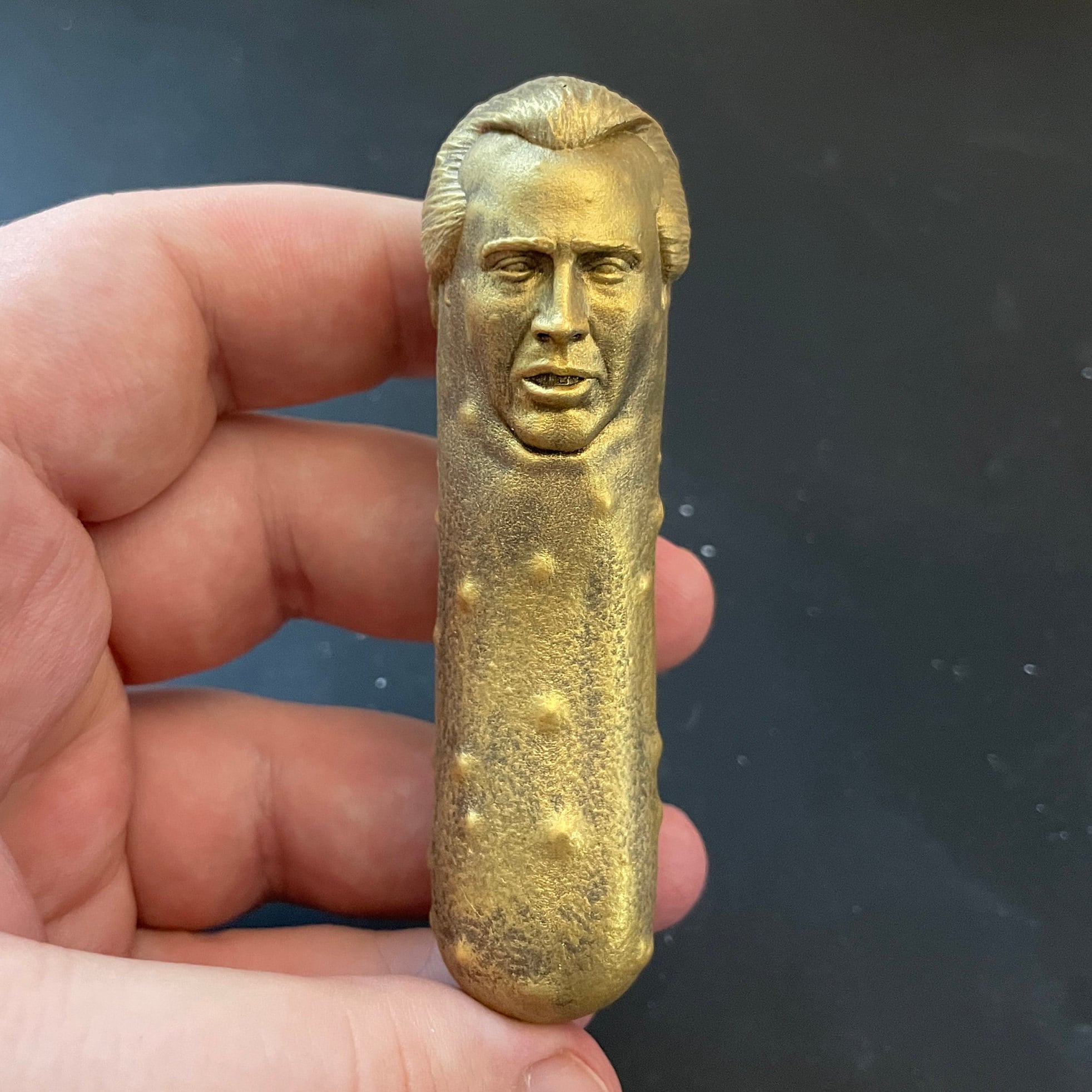 Picolas Cage 3D Print Resin - Etsy Canada