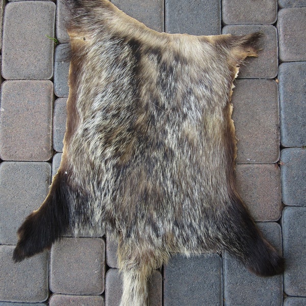 Badger Skin - Etsy