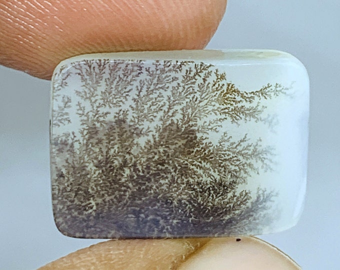 Rare Dendrite!! Cabochon, Big Size Loose Gemstone Cabochon Dendritic ...