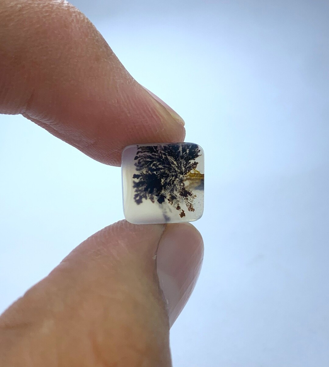 Dendritic Agate,scenic Tree Agate Cabochon: Natural Dendritic Gemstone ...