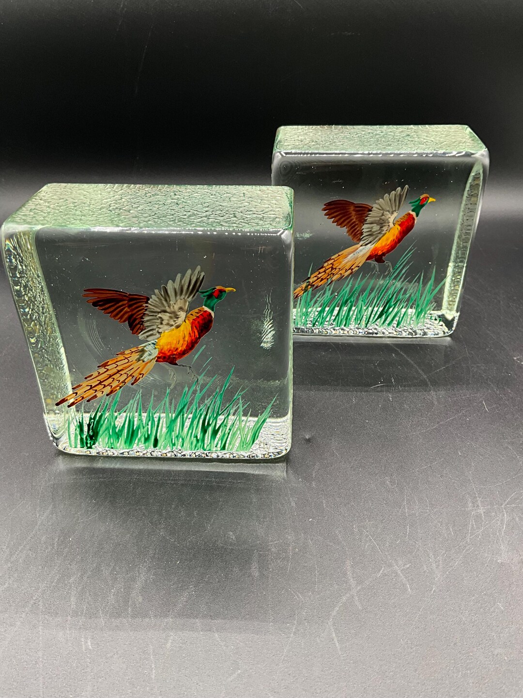 Vintage Pair Mid Century HEAVY Square Block Glass Pheasant Bookends - Etsy