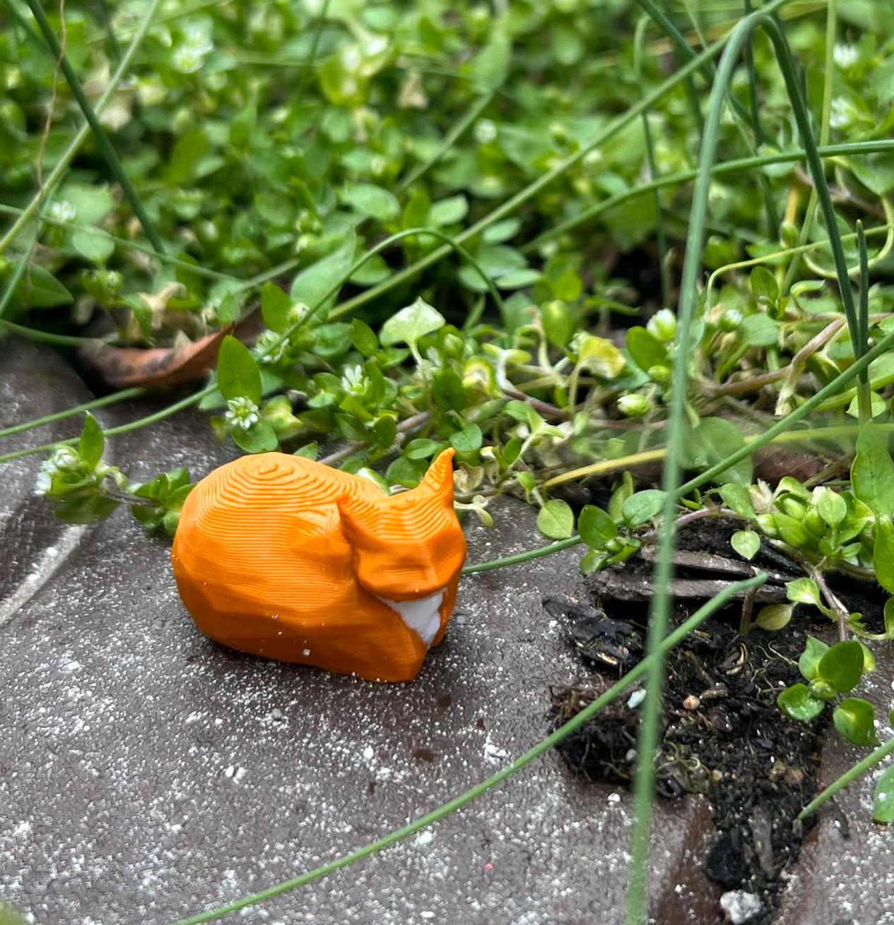 Orange Cat Aka Maxwell the Cat, Cute Kitty Figurine - Etsy