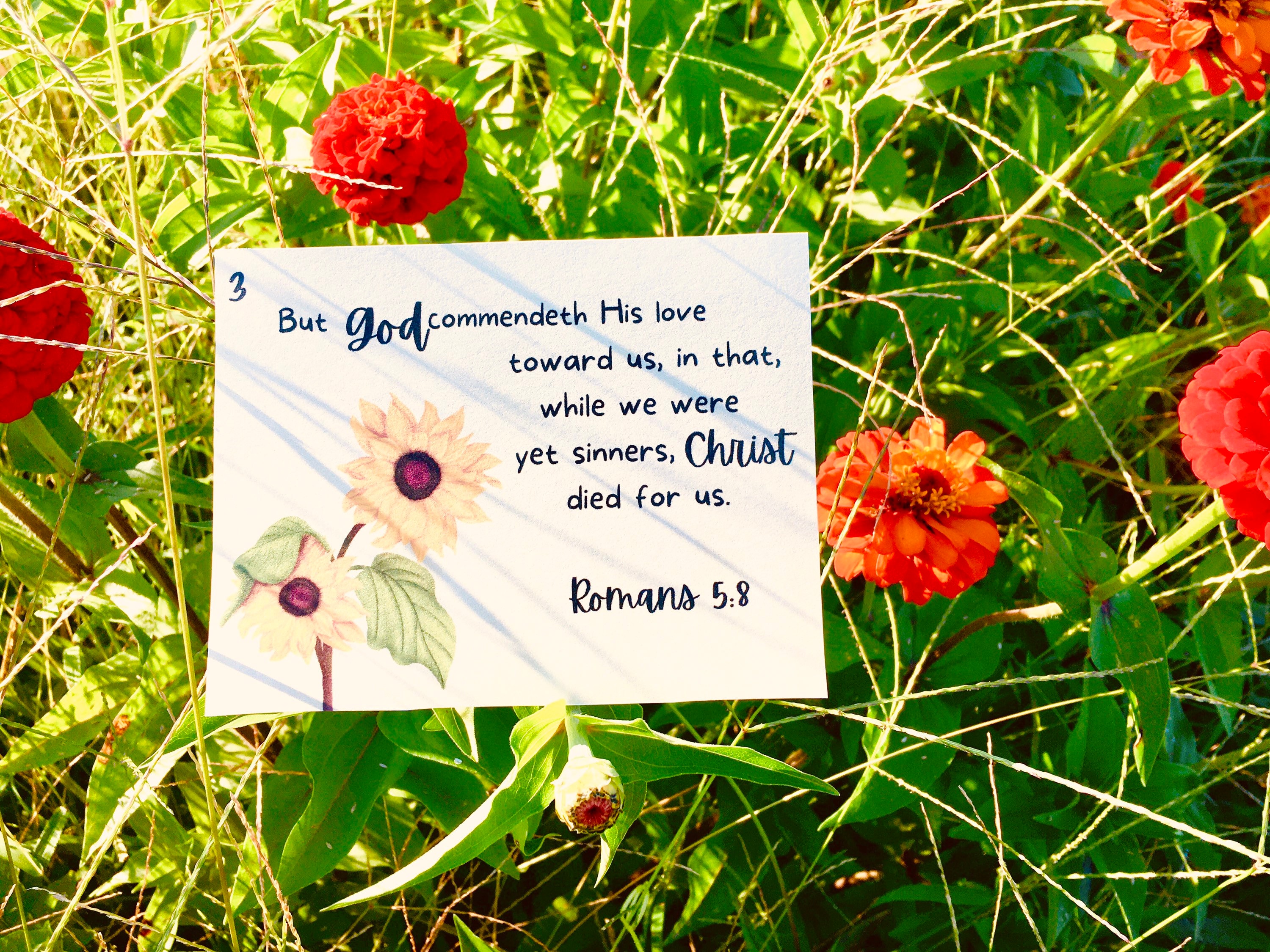 Bible Memory Verse Cards for Children, 52 Weekly Verses, KJV, Digital ...