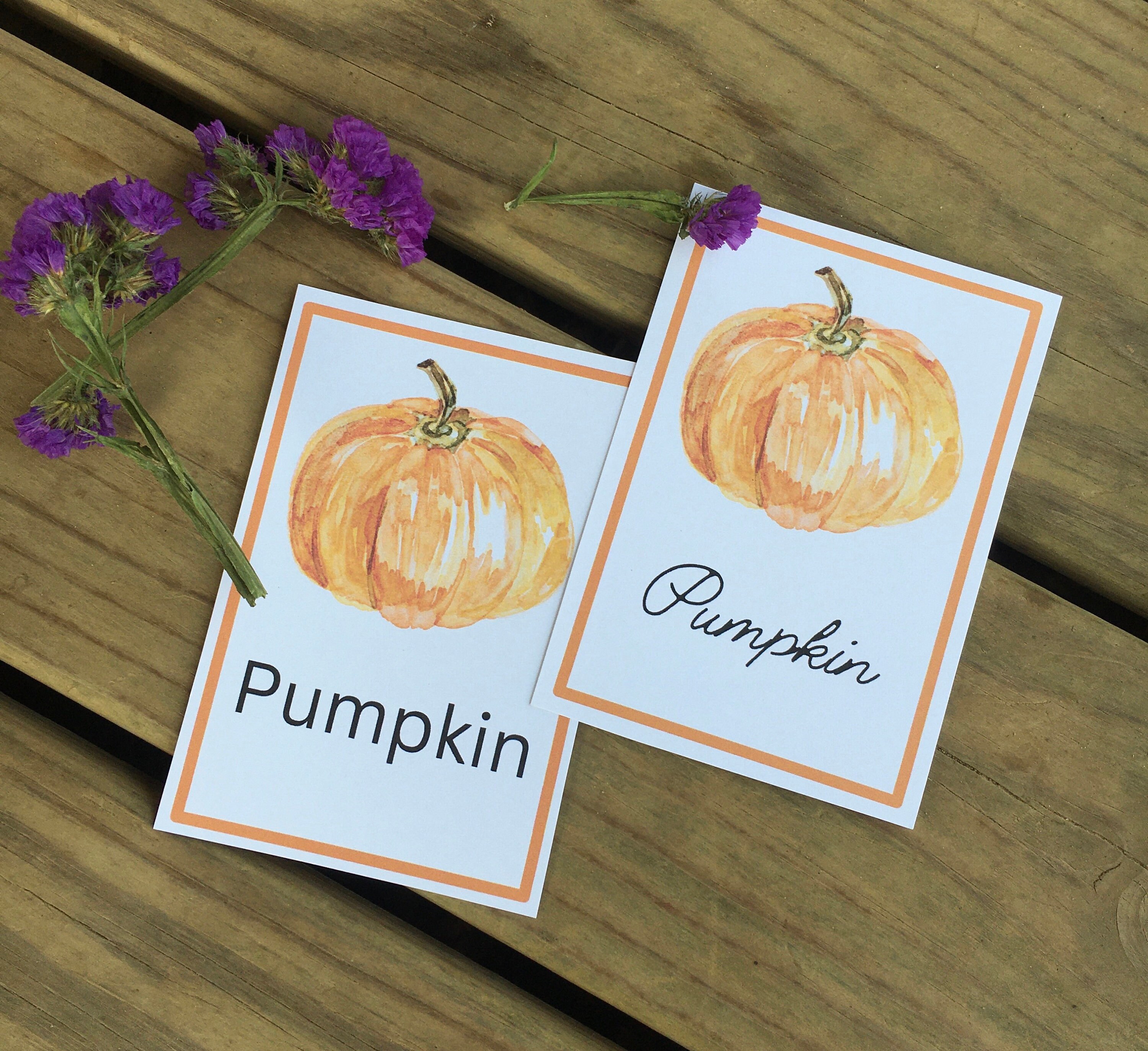 Autumn Vocabulary Flashcards, Cursive and Print, Homeschool, Preschool ...
