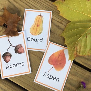 Autumn Vocabulary Flashcards, Cursive and Print, Homeschool, Preschool ...