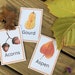 Autumn Vocabulary Flashcards, Cursive and Print, Homeschool, Preschool ...