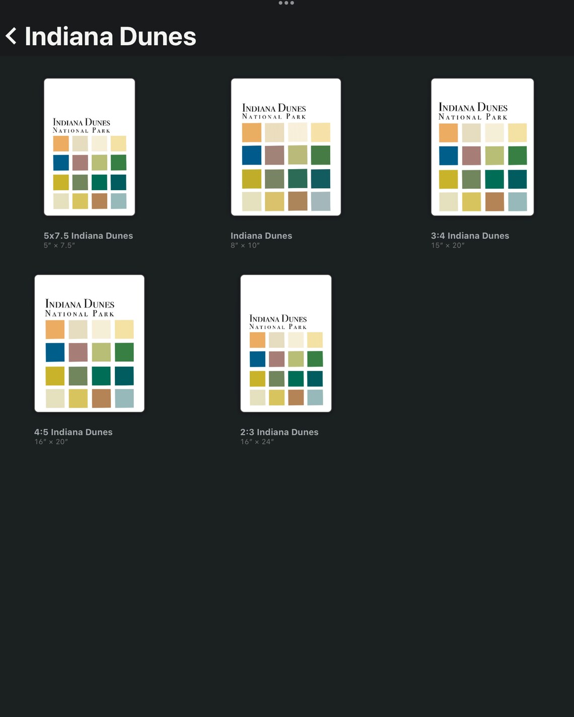 Minimalist Indiana Dunes National Park Color Palette *DIGITAL PRINT* - Etsy