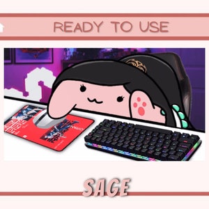 3 Valorant Bongo Cats Sage,killjoy,raze Virtual Camera for Twitch ...