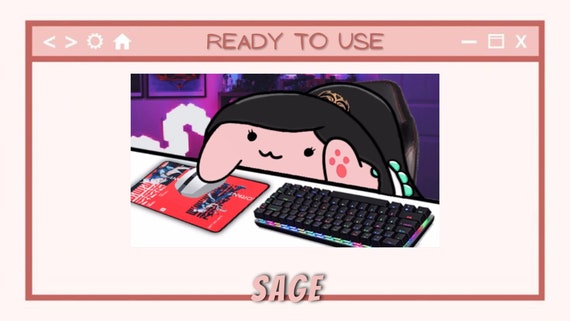 3 Valorant Bongo Cats Sagekilljoyraze Virtual Camera for - Etsy Canada