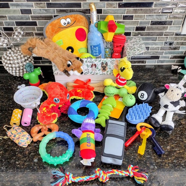 Halloween Dog Gift Box - 60+ Gift Ideas for 2024