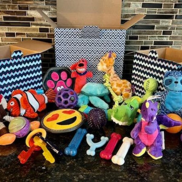 Dog Gift Box - 60+ Gift Ideas for 2024