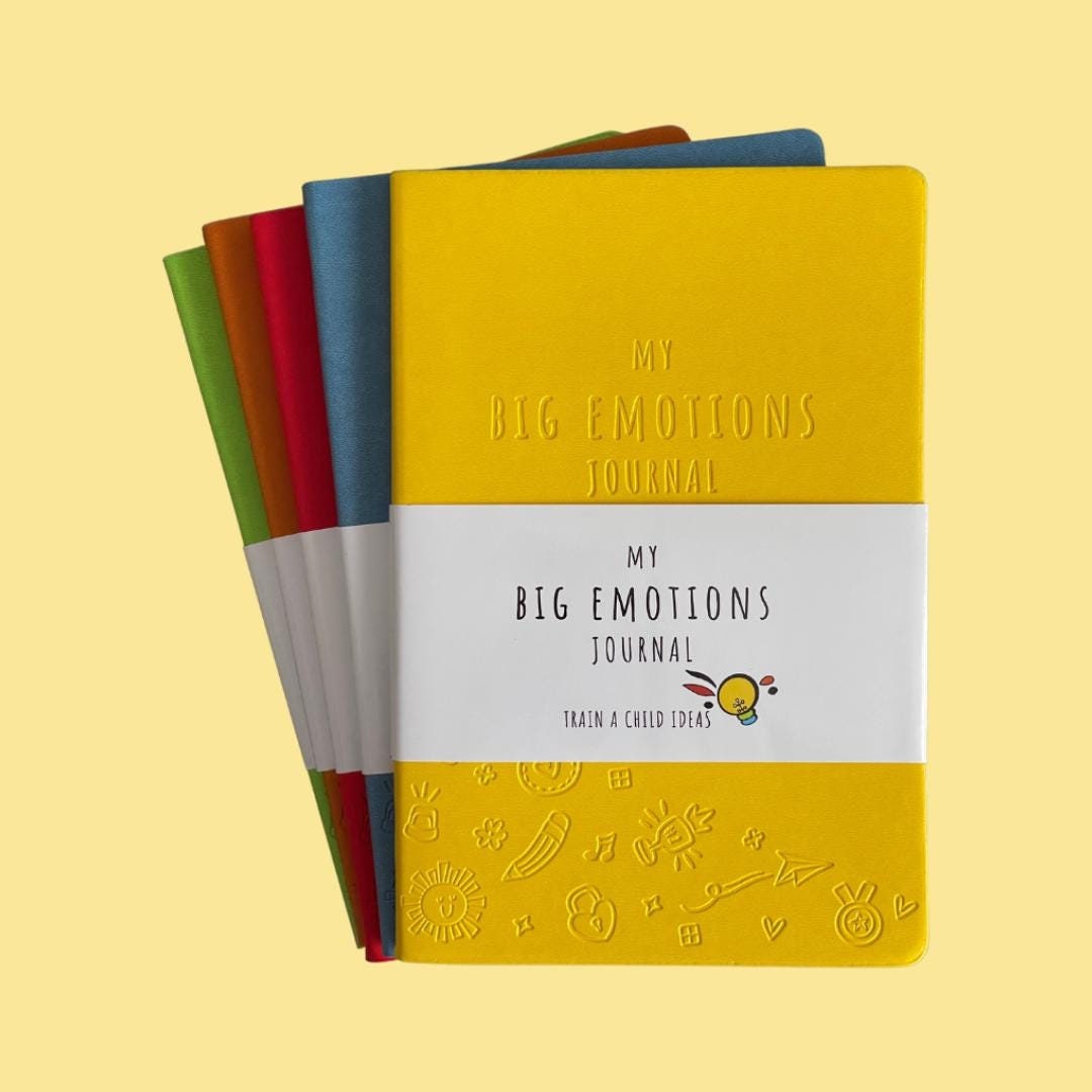 My Big Emotions Journal Kids Feelings Workbook Self-care Mindfulness ...