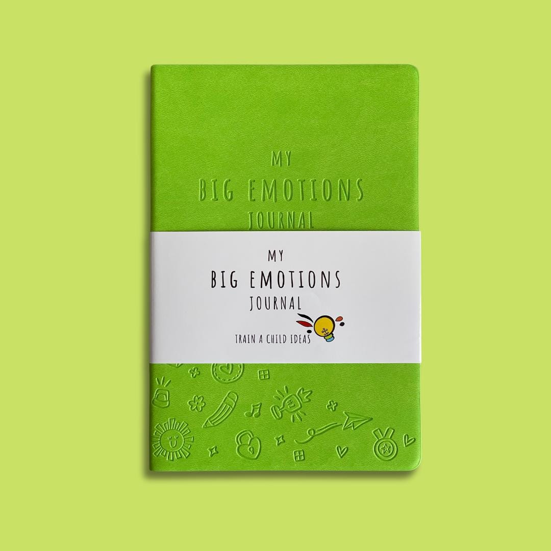 Kids' Emotional Regulation Journal: Mindfulness, Self-care Workbook - Etsy