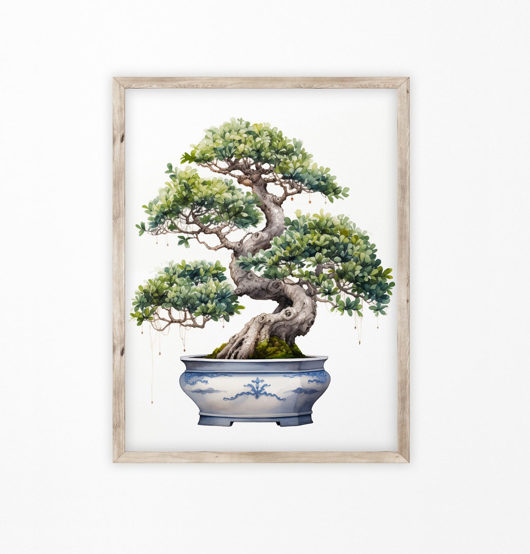 Printable Watercolor Bonsai Tree Illustration, Bonsai Wall Art ...