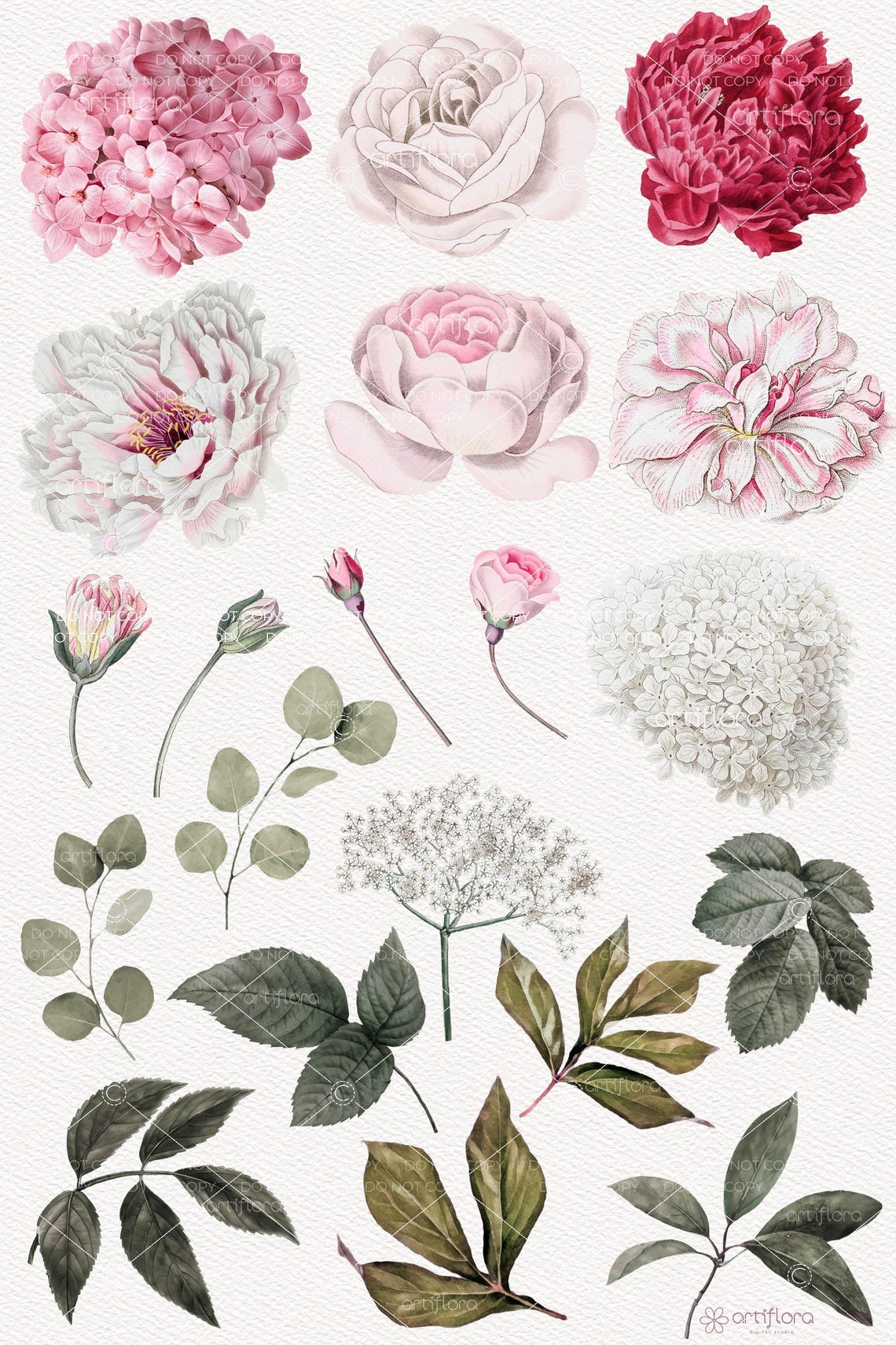 Watercolor Floral Clipart Peonies Roses Hydrangea Clipart - Etsy