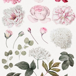 Watercolor Floral Clipart, Peonies Roses Hydrangea Clipart, Pink White ...