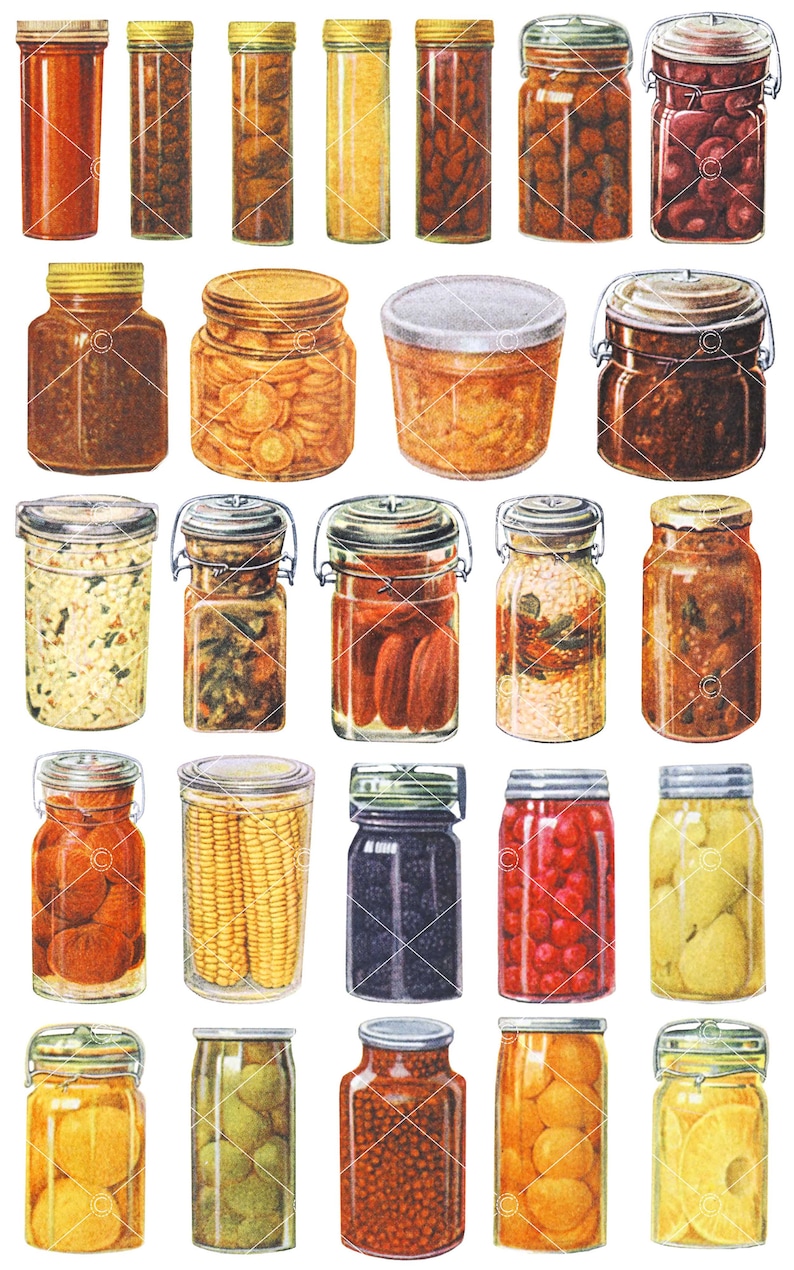 Vintage Preserves Illustrations, 27 PNG, Vintage Food Clipart, Fussy ...