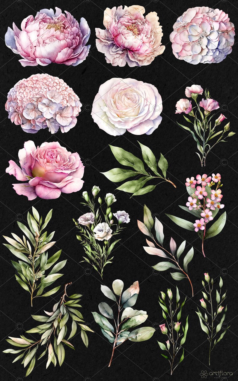 Watercolor Floral Clipart, Peonies Roses Hydrangea Clipart, Pink White ...