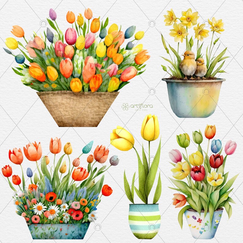 Watercolor Spring Easter Cute Flowers Clipart Tulips - Etsy