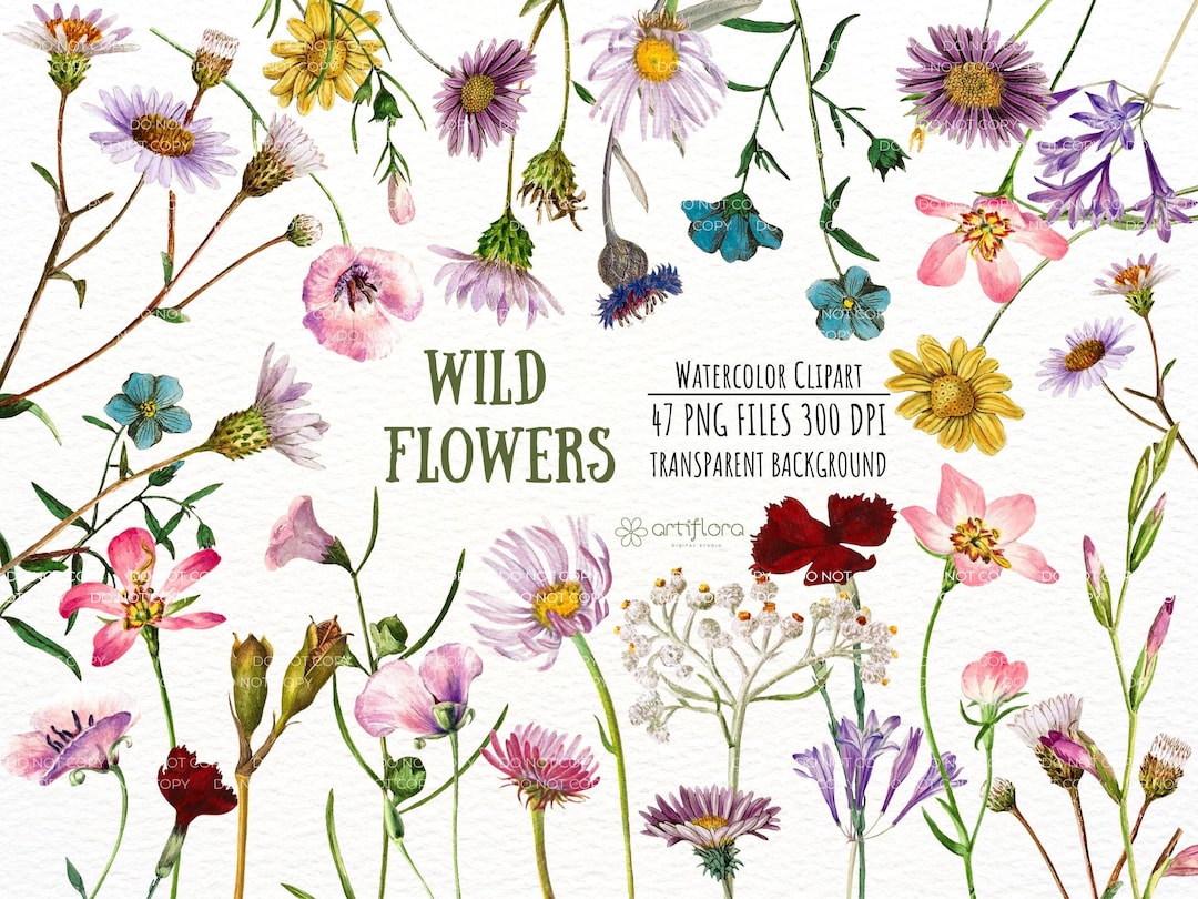 Watercolor Floral Clipart, Watercolor Wildflowers, Pink Flowers ...