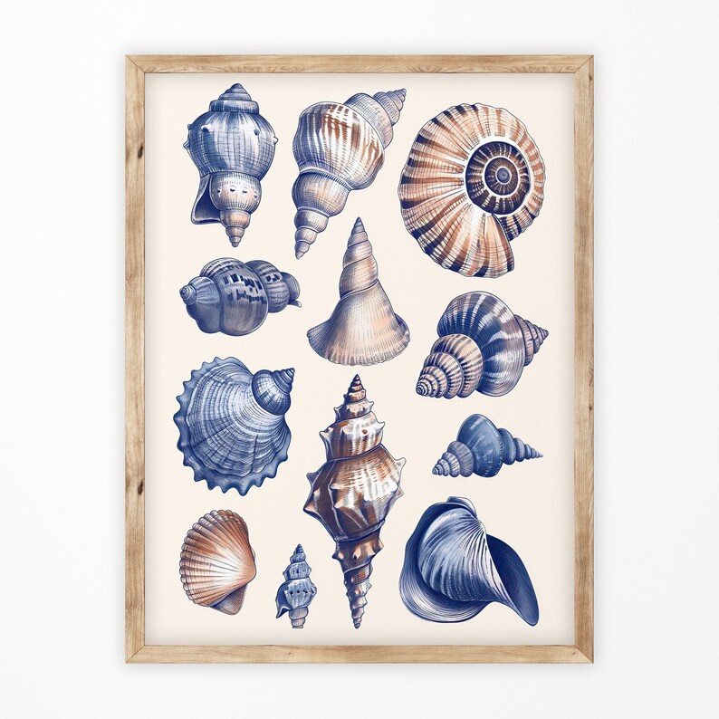 Printable Beach Home Decor, Shells Illustration, Marine Life, Coastal ...